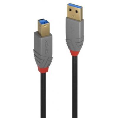 Midwich Ltd - Lindy 36740 (LINDY36740)